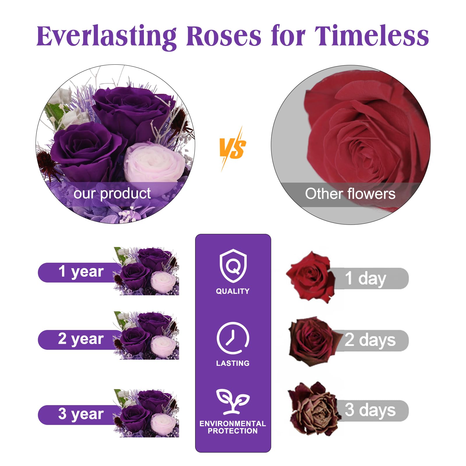 Rose Color Meaning Chart Rose Color Meanings | Petal Talk