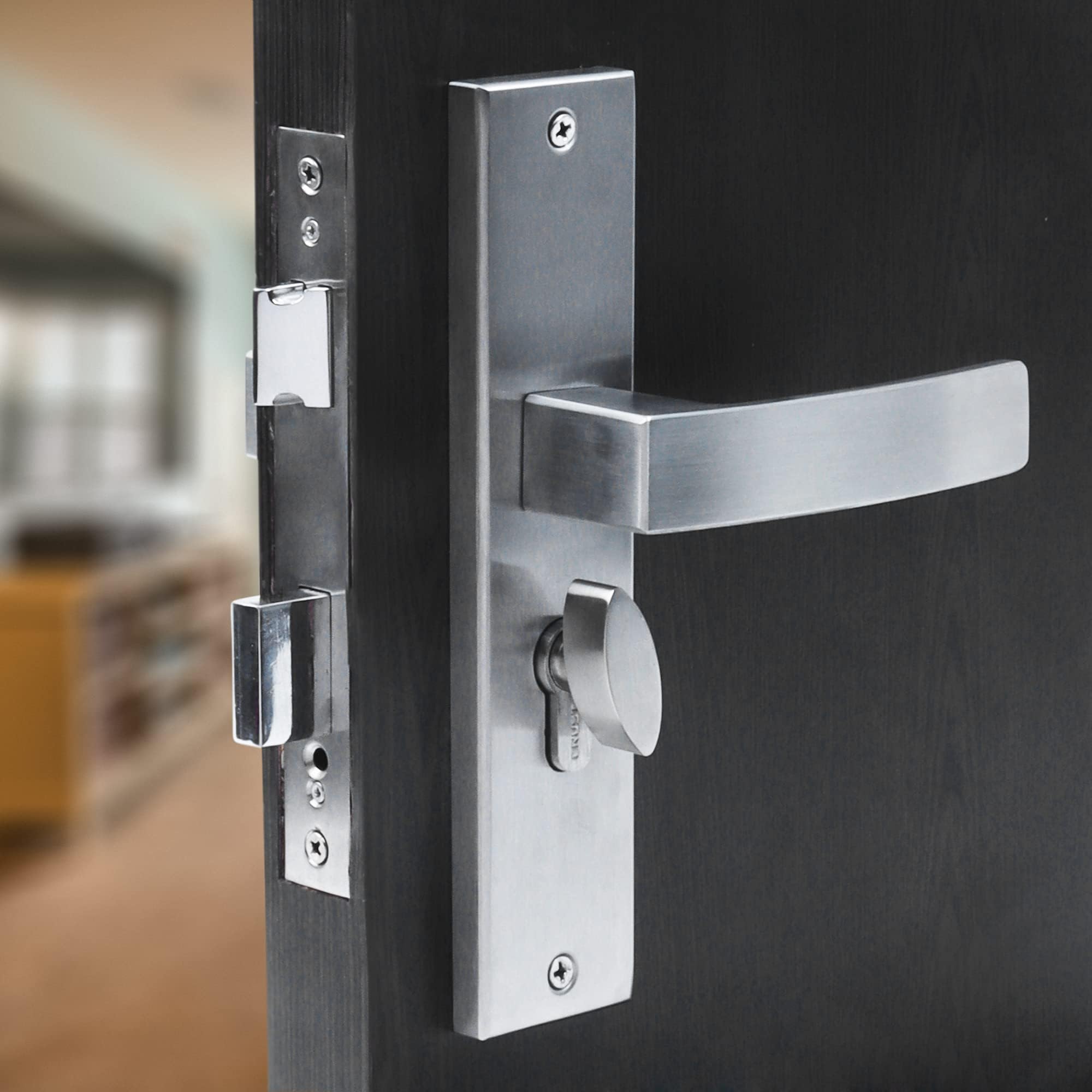 Double Door Lock with 2 keys : Amazon.in: Home Improvement