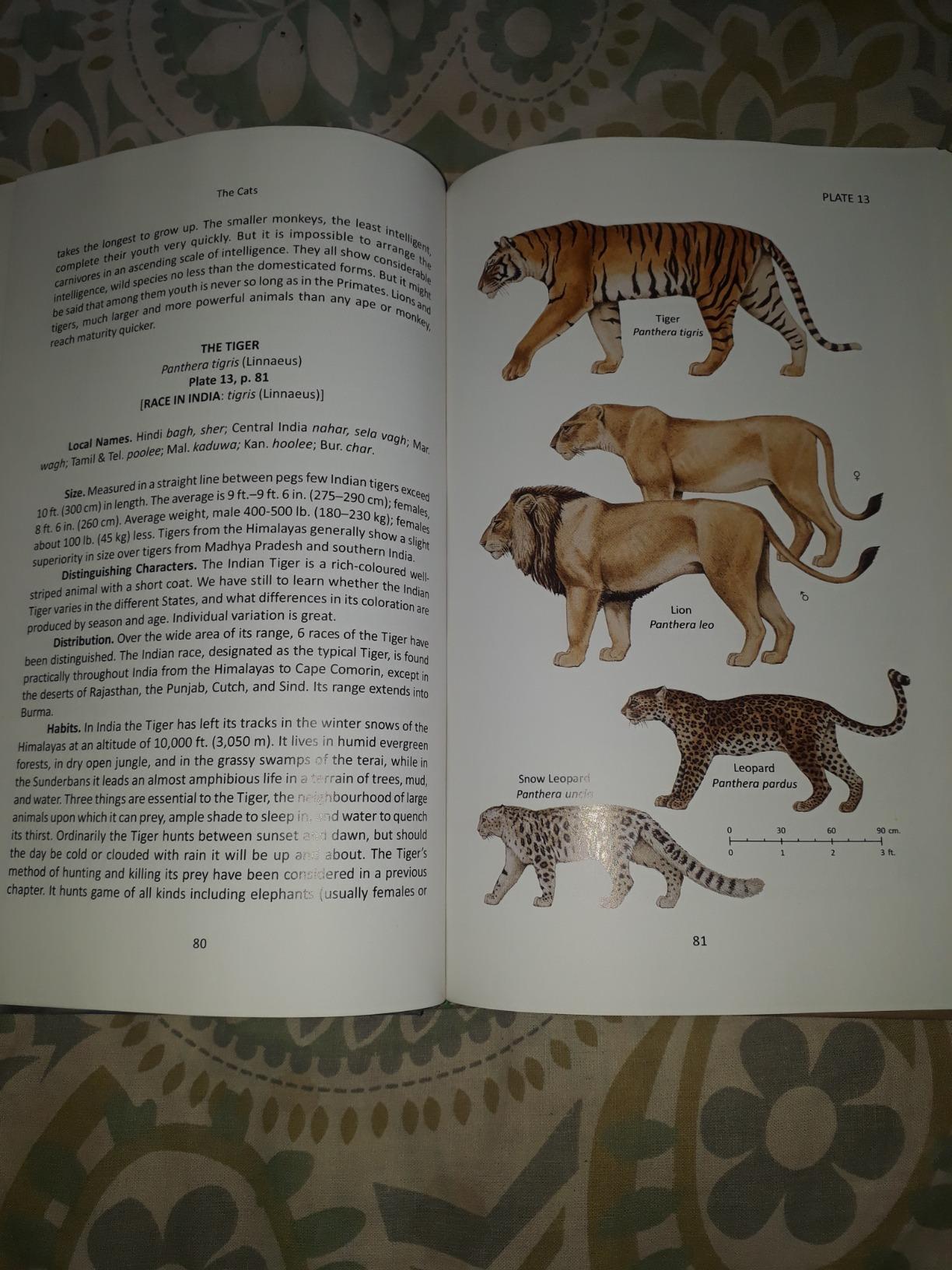 Buy BOOK OF INDIAN ANIMALS 3/e (Bombay Natural History Society) Book ...
