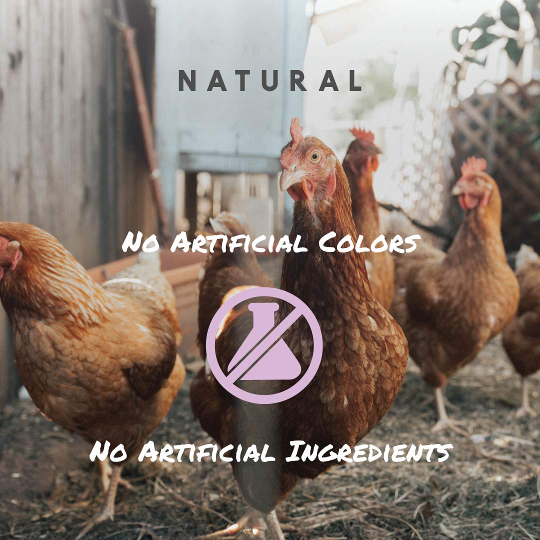 Snapklik.com : 7-Grain Ultimate Chicken Scratch - Scratch Grain Treat ...