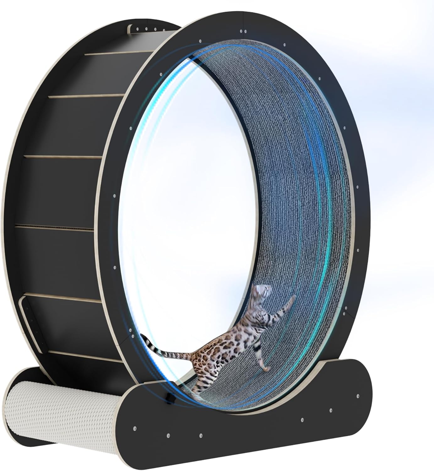 Amazon.com : Cat Wheel with 2 Cat Scratching Posts - Large Silent Cat ...