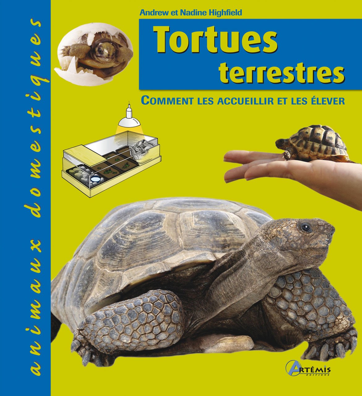 Amazon.fr - Tortues terrestres: Comment les accueillir et les élever ...