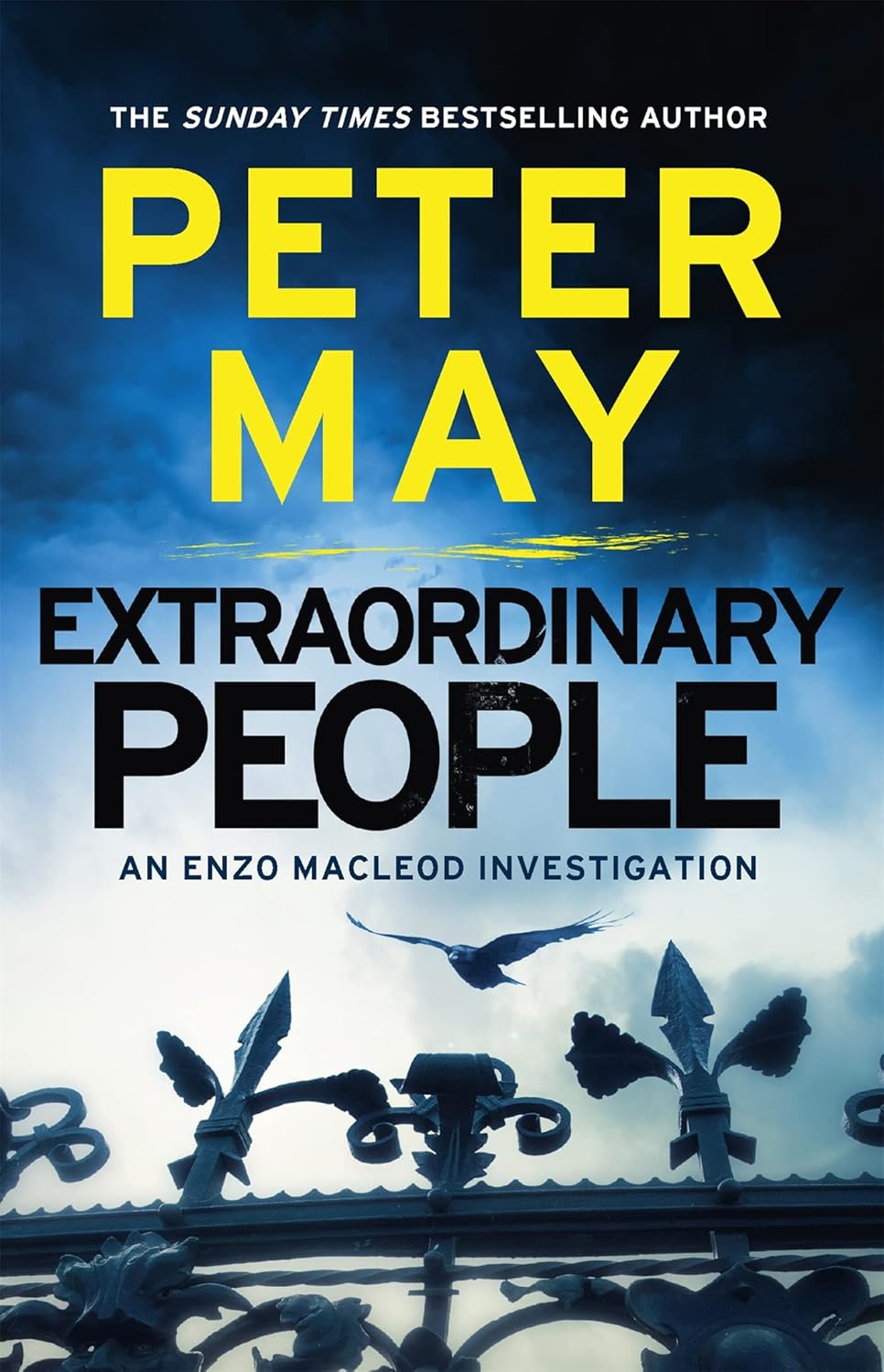 Extraordinary People: A stunning cold-case mystery from the bestselling ...