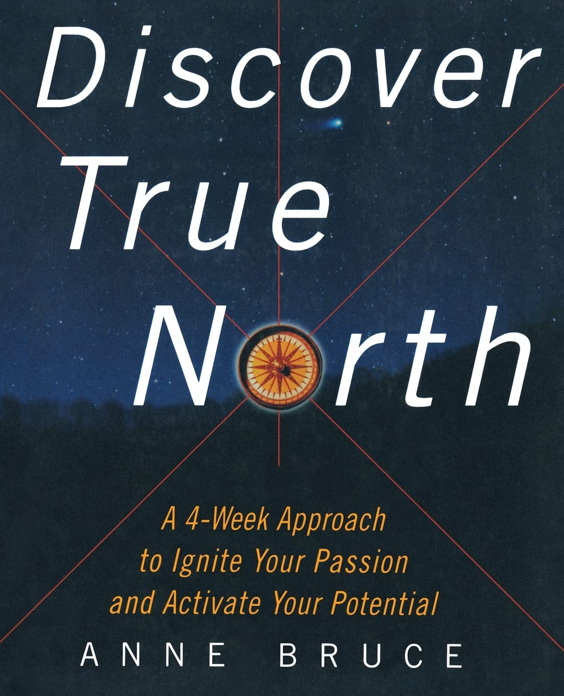 Discover True North : A Program to Ignite Your Passion and Activate ...
