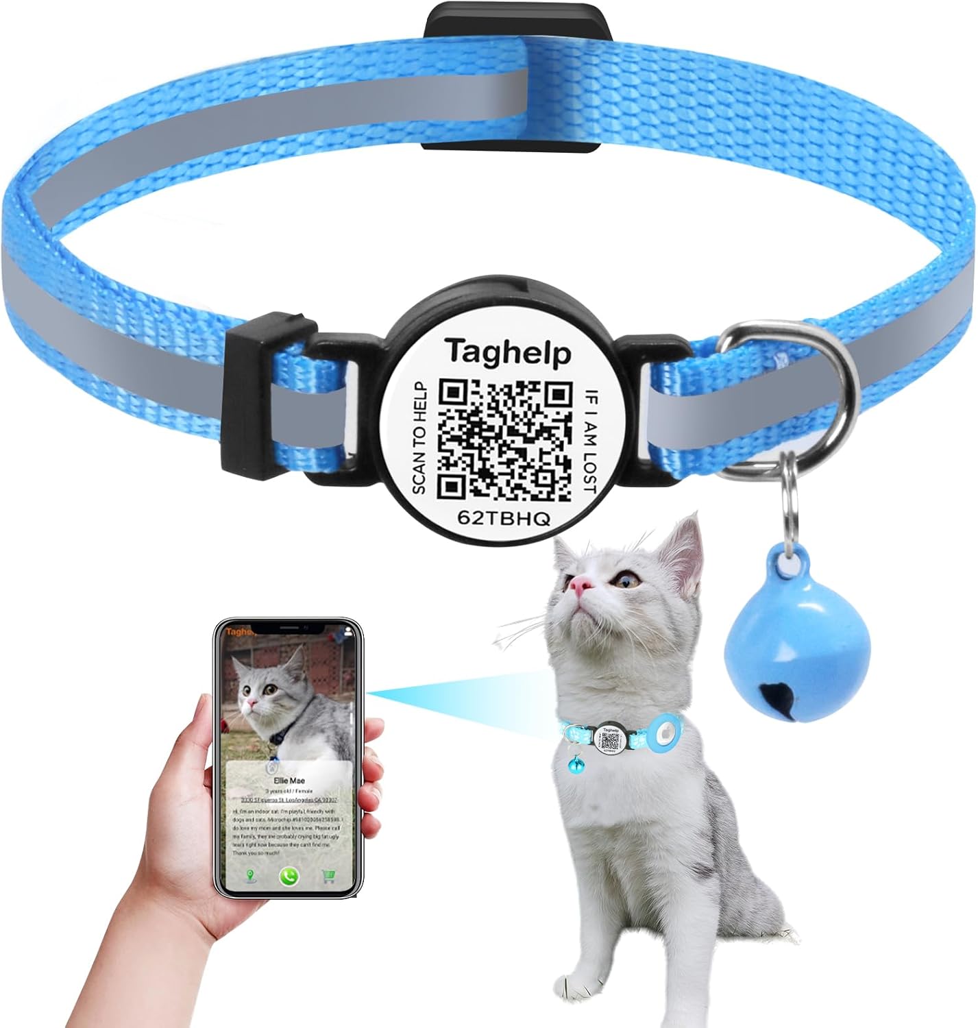 Pet Supplies : Upgraded Version - Reflective Cat Collar with Bell ...
