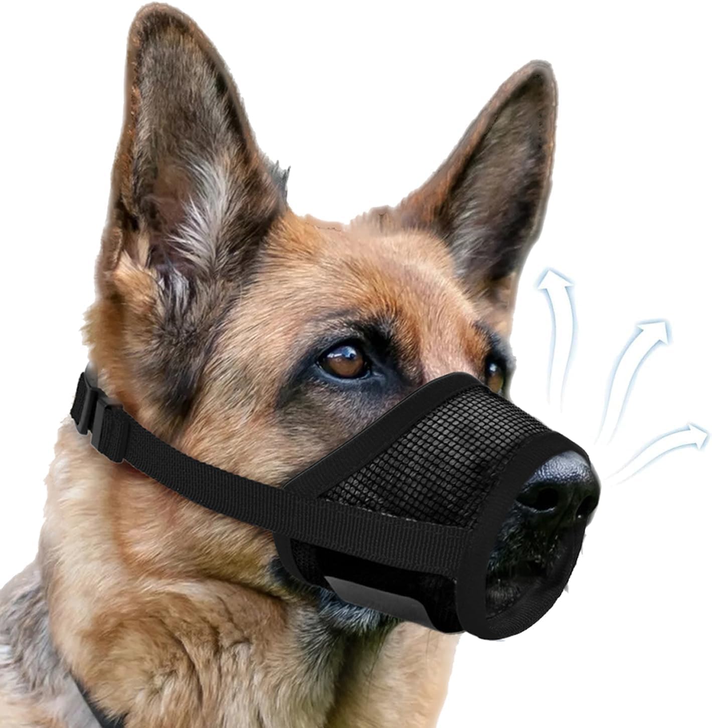 Amazon.com : Dog Muzzle, Soft Air Mesh Muzzle for Small Medium Large ...