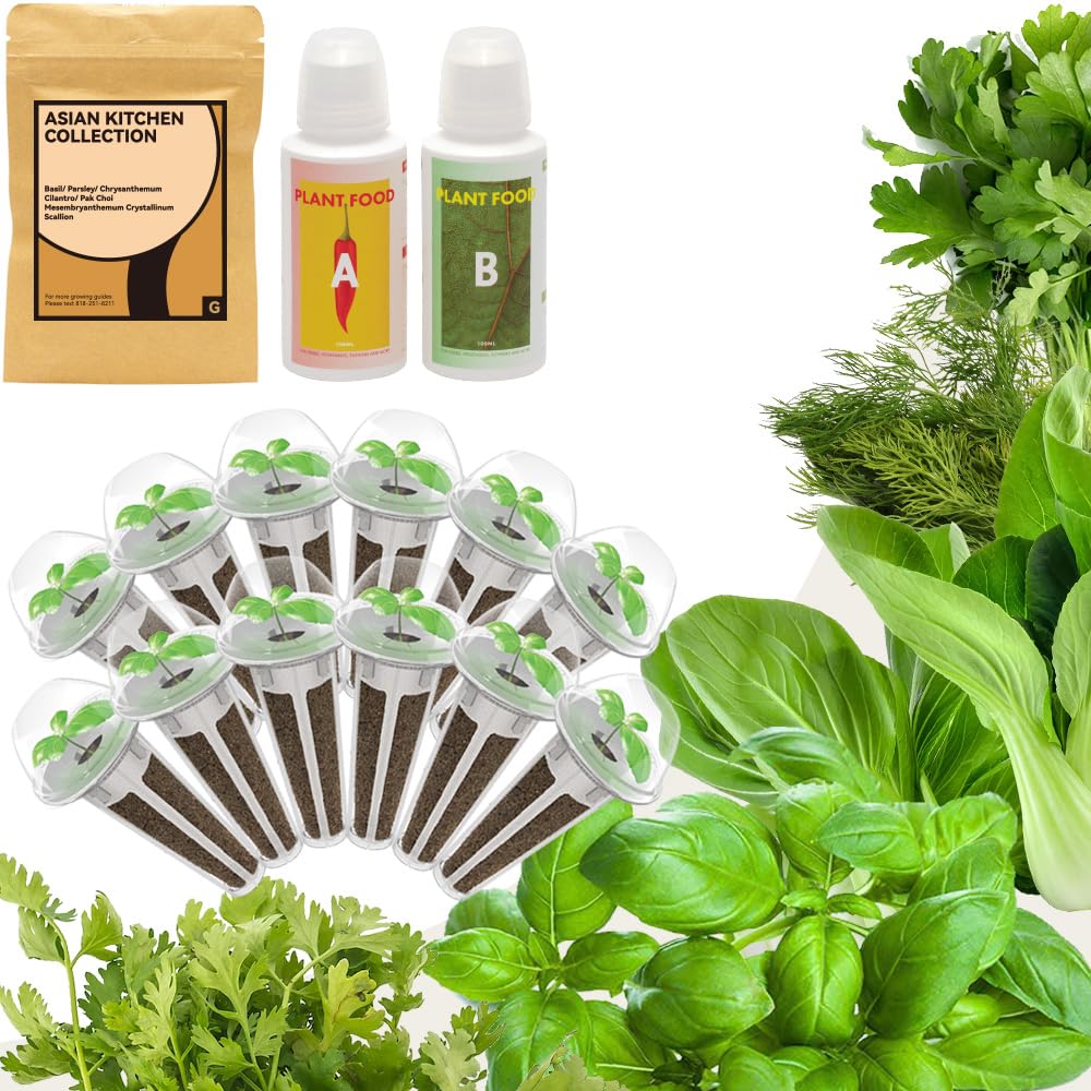 Amazon.com : inbloom Herb Seed Pods Kit for AeroGarden, 12-Pods with ...