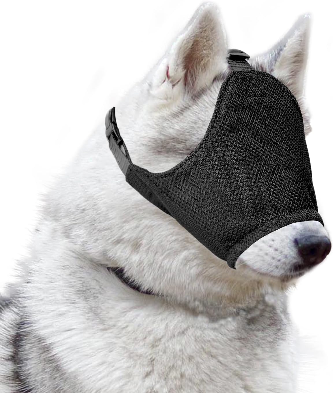 Amazon.com : OHCOZZY Dog Calming Cap Eye Mask for Anxiety, Adjustable ...