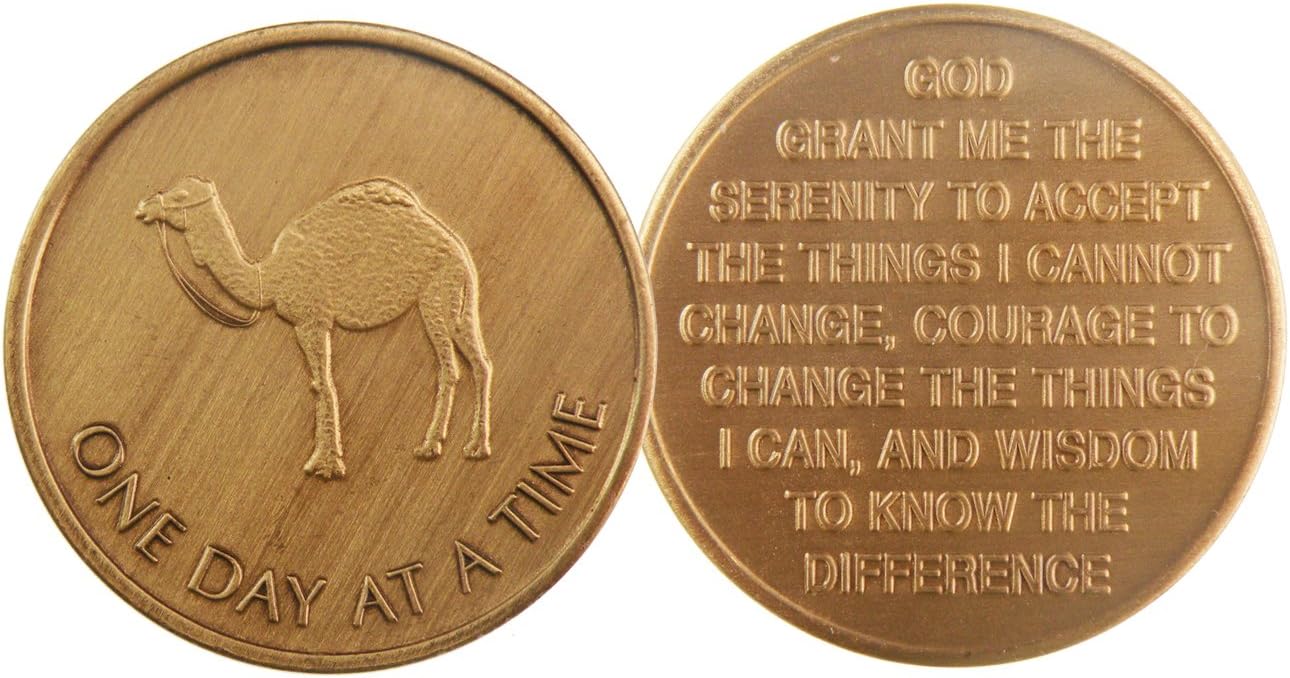 Amazon.com: One Day at A Time (ODAT) - Camel - Bronze AA (Alcoholics ...
