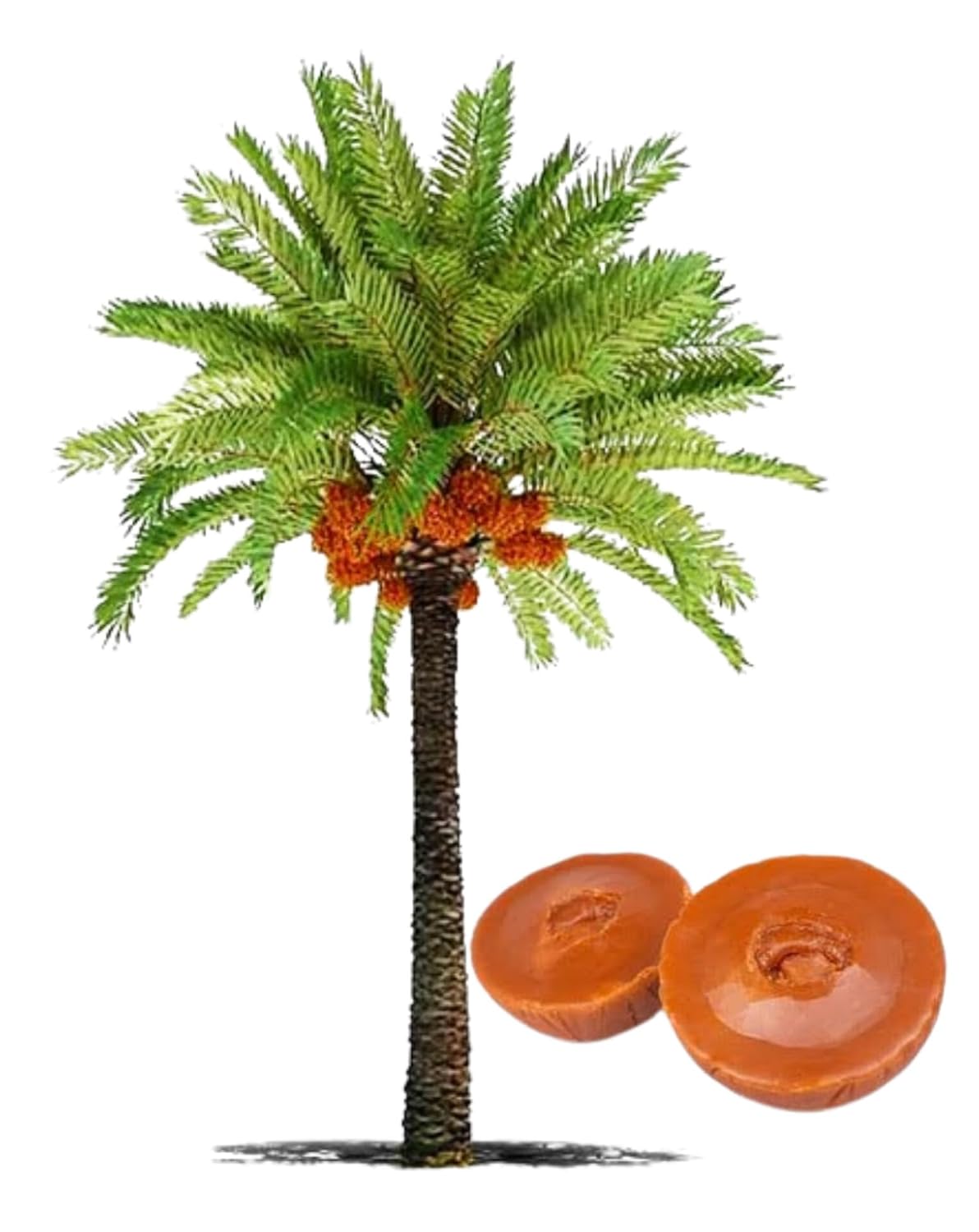 FINDLINE Natural Khajur Patali Gur (Pack of 1Kg) | Date Palm Jaggery ...