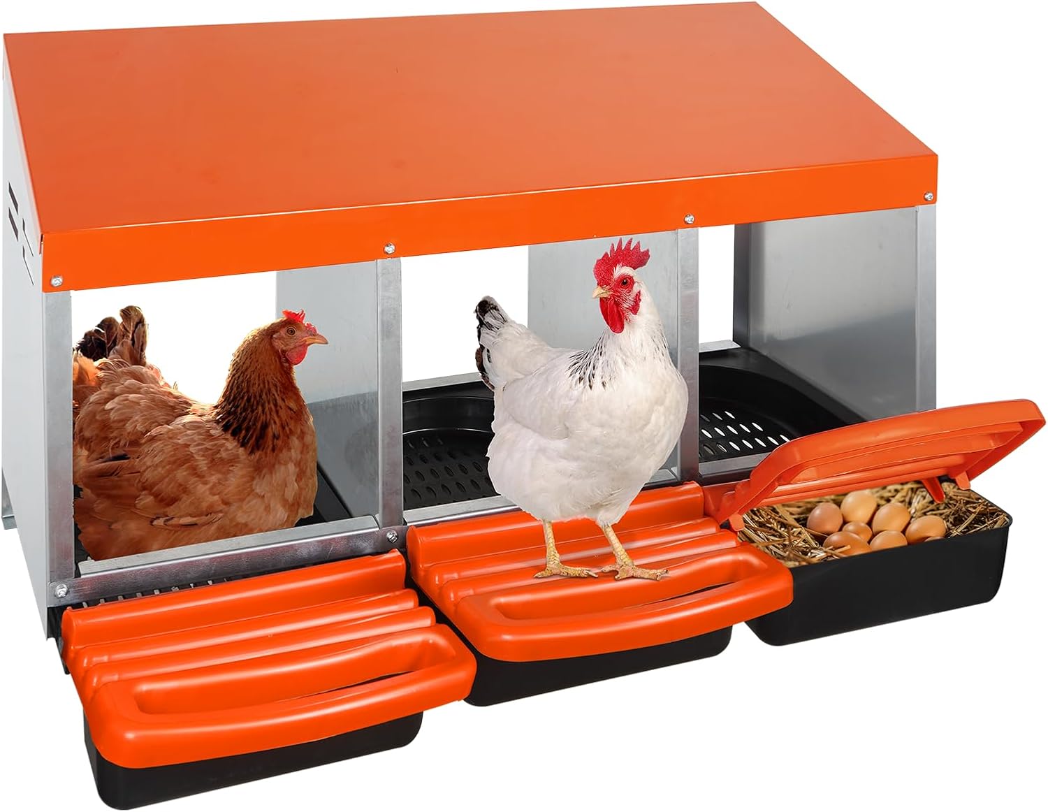 Amazon.com : Chicken Nesting Box, 3 Hole Metal Chicken Egg Laying Box ...