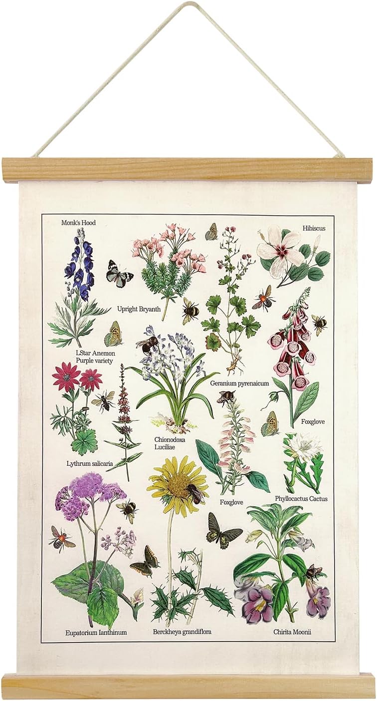 Amazon.com: XIAOAIKA Flowers and Plants Poster Wall Art Prints HD ...