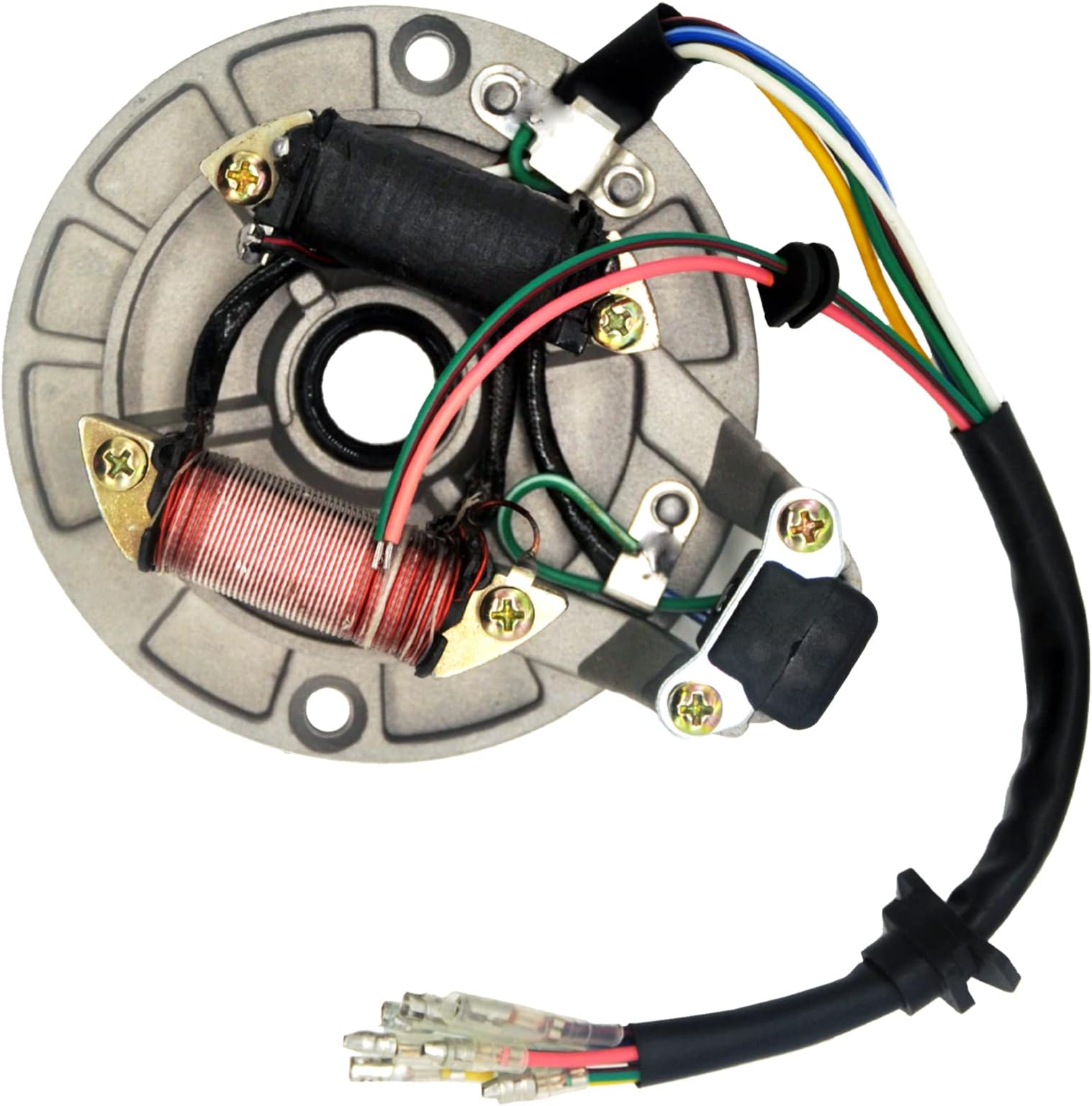 Amazon.com: PRO BAT 8 Coil Magneto Stator 5 Wires for Zongshen CG125 ...