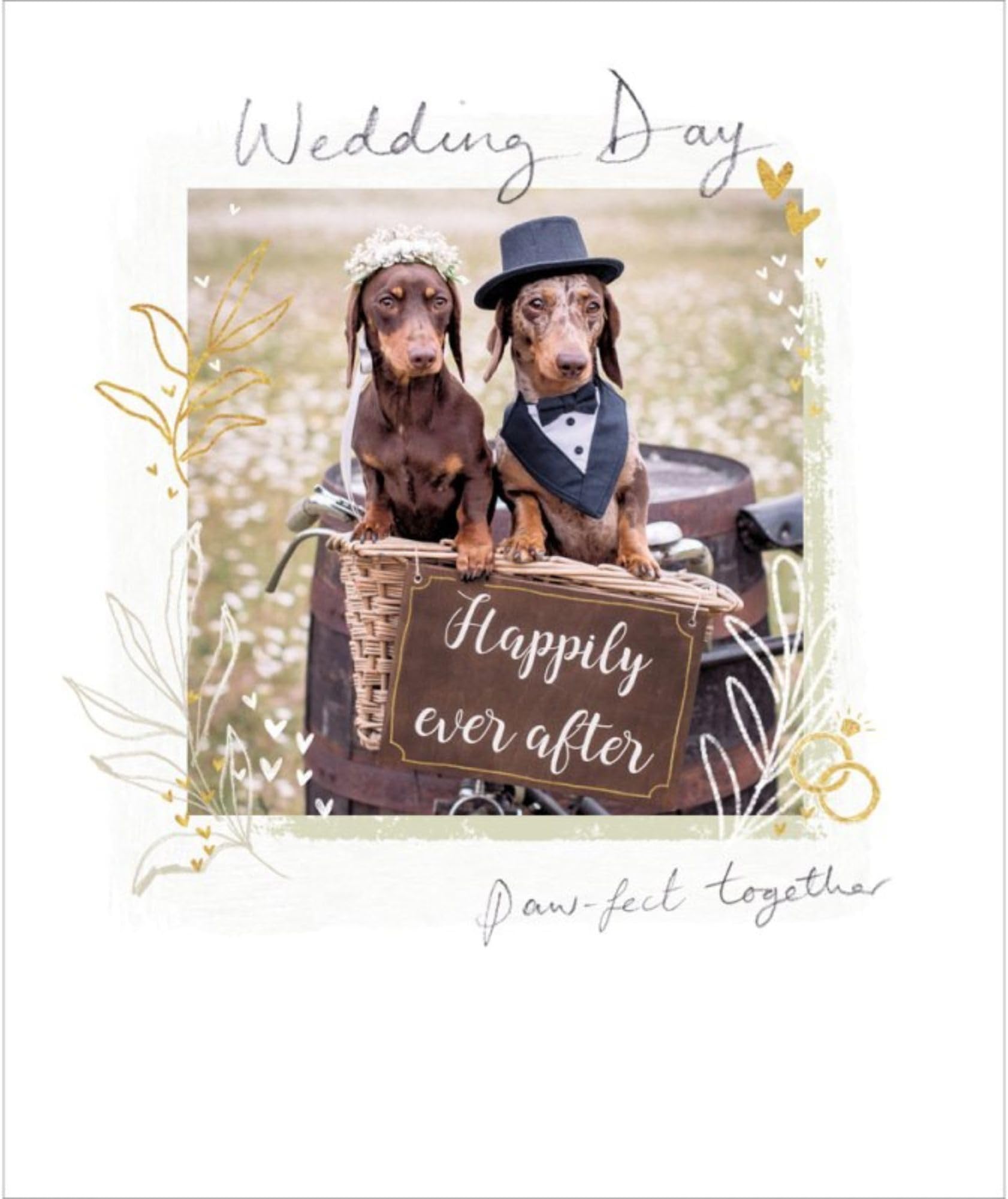Wedding Day Congratulations Card - Dachshund Dog Bride and Groom Design ...