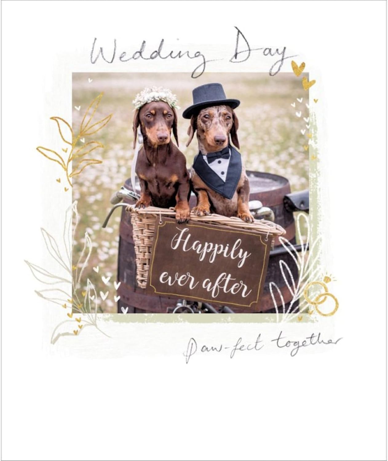 Wedding Day Congratulations Card - Dachshund Dog Bride and Groom Design ...