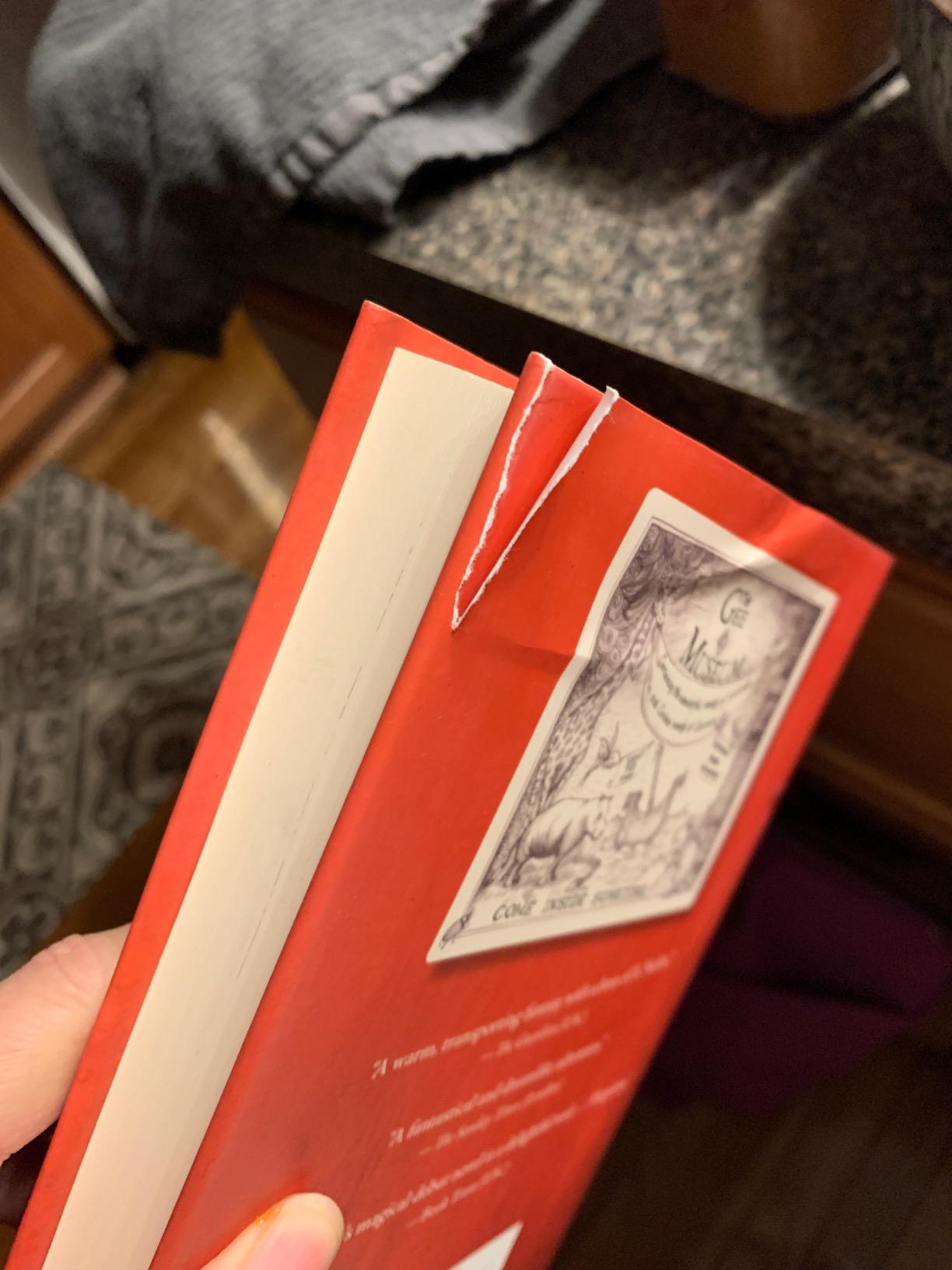 Hippo At The End Of The Hall: Cooper, Helen: 9781910989760: Amazon.com ...