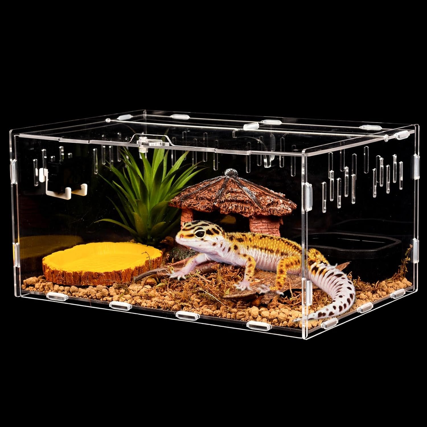 Amazon.com : KINGRUNNING Acrylic Reptile Tank, 11.8"x7.9"x5.9" Durable ...