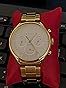 Titan Urban Magic Quartz Multifunction Silver Dial Gold Stainless Steel ...