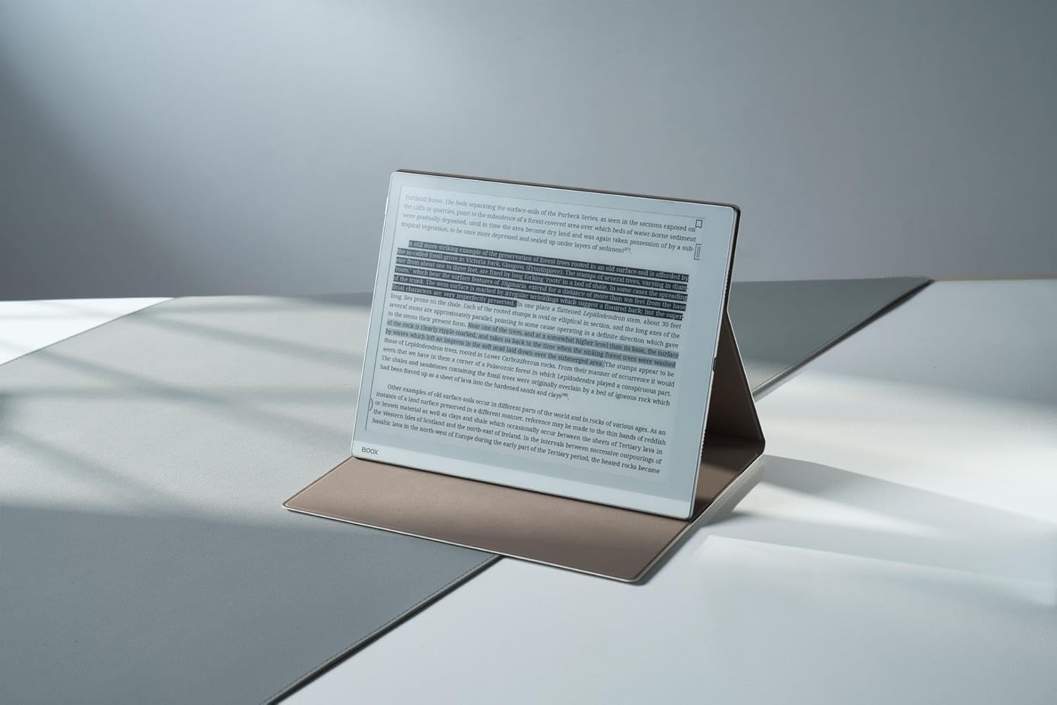 Amazon.com: BOOX Go 10.3 Bundle : Electronics