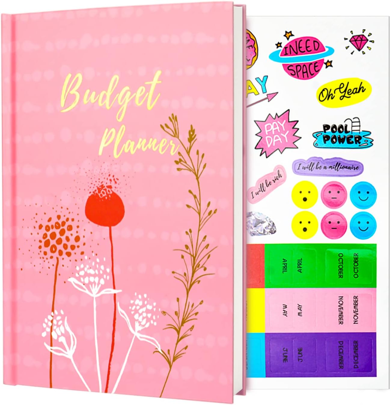 Amazon.com : Budget Planner, Monthly Accounts Book and Bill Tracker ...