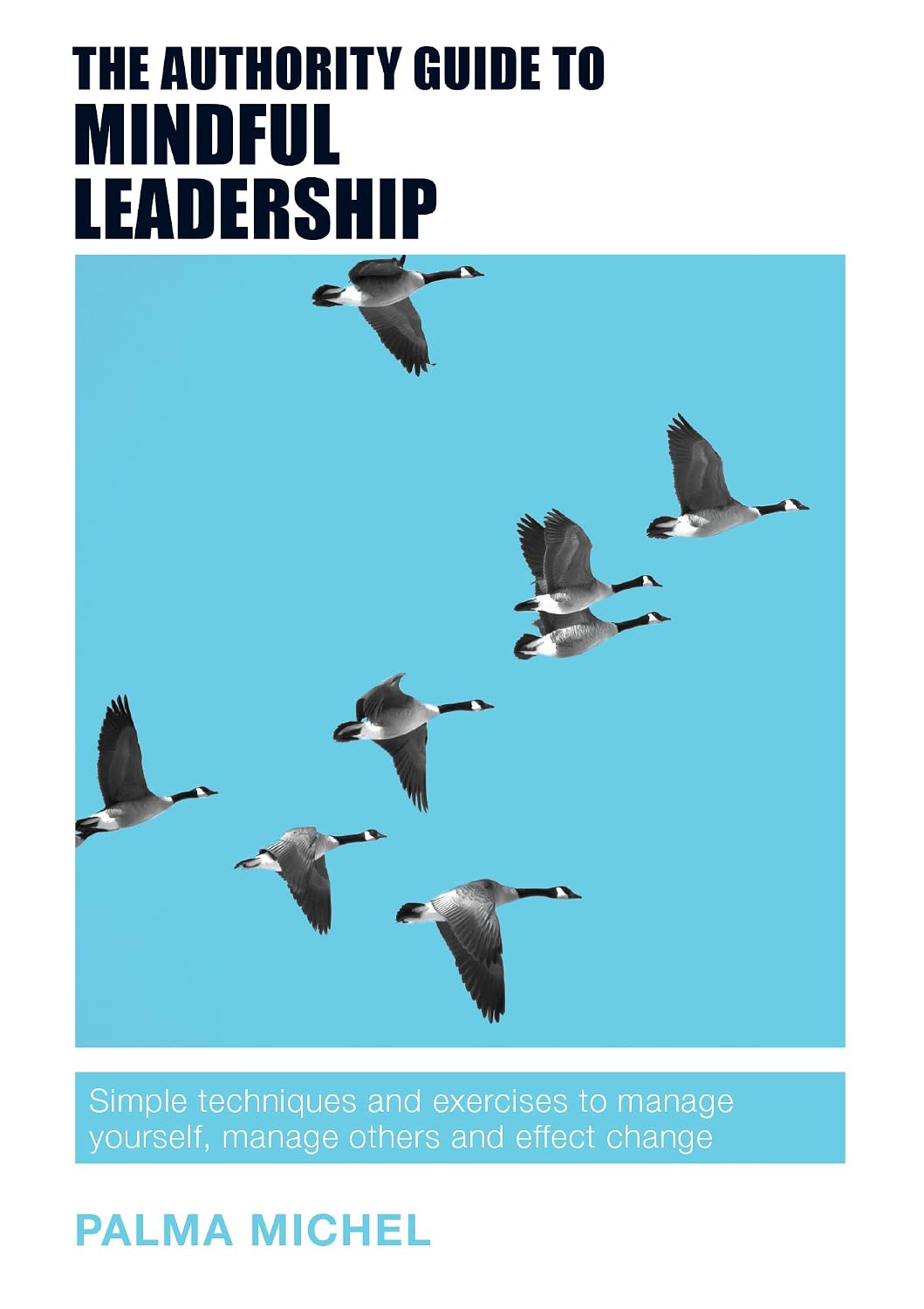 Buy The Authority Guide to Mindful Leadership: Simple techniques and ...
