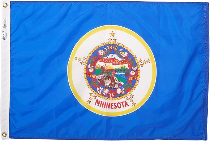Amazon.com : Annin Flagmakers Minnesota State Flag USA-Made to Official ...