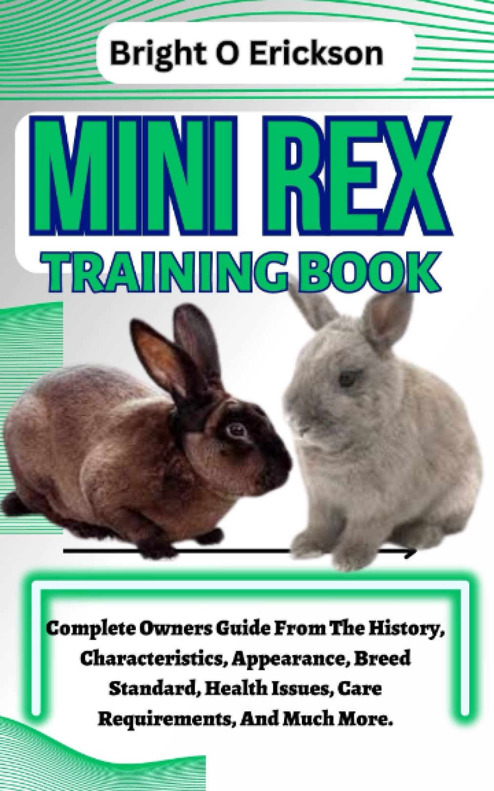 MINI REX TRAINING BOOK: Complete Owners Guide From The History ...