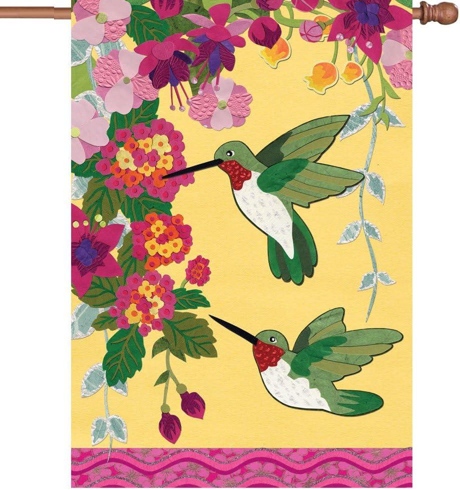 Amazon.com : Premier Kites 52097 House Illuminated Flag, Hummingbirds ...