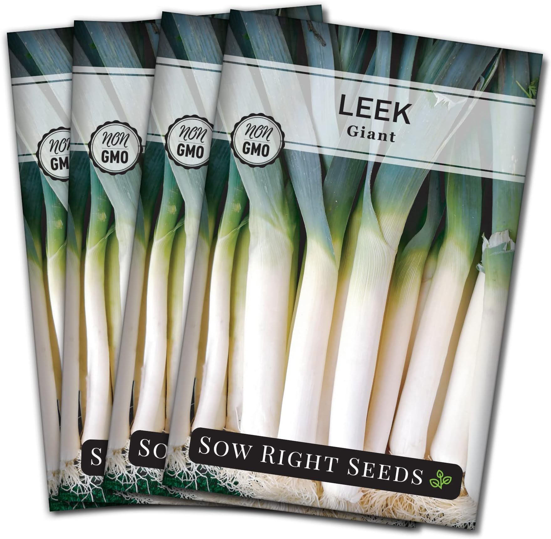 Amazon.com : Leek Seed, American Flag, Non GMO, 100 Seeds, Heirloom ...