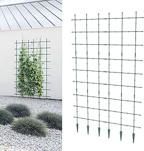 Wall Plant Pot Support Large Trellis Ladder Climbing Frame 3 Variants ...