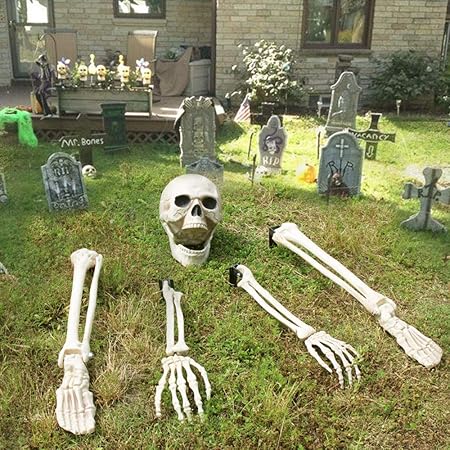 Amazon.com : 35 Pieces Skeleton Bones for Halloween Decoration ...