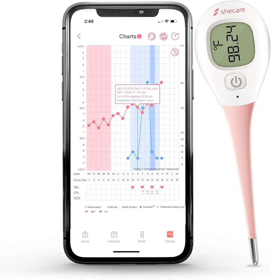 Understanding The Typical Basal Body Temperature During Early Pregnancy ...