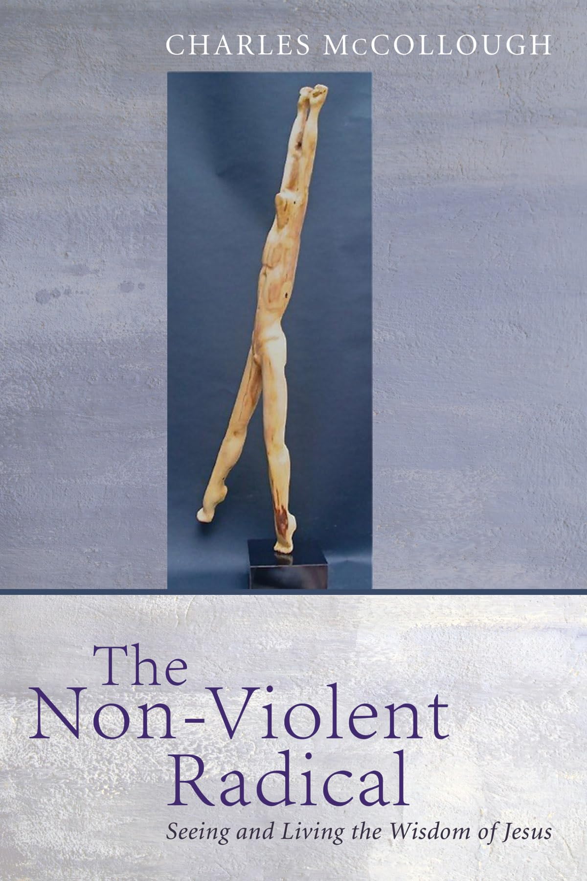 The Non-Violent Radical: McCollough, Charles: 9781608999651: Amazon.com ...