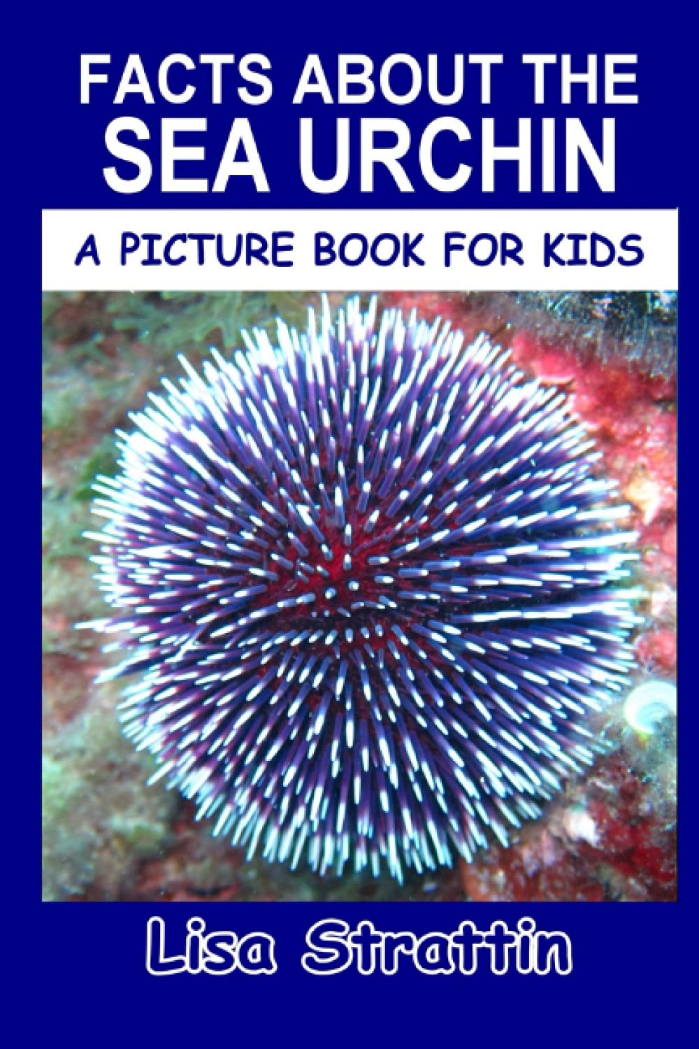 Facts About the Sea Urchin (A Picture Book For Kids): Strattin, Lisa ...