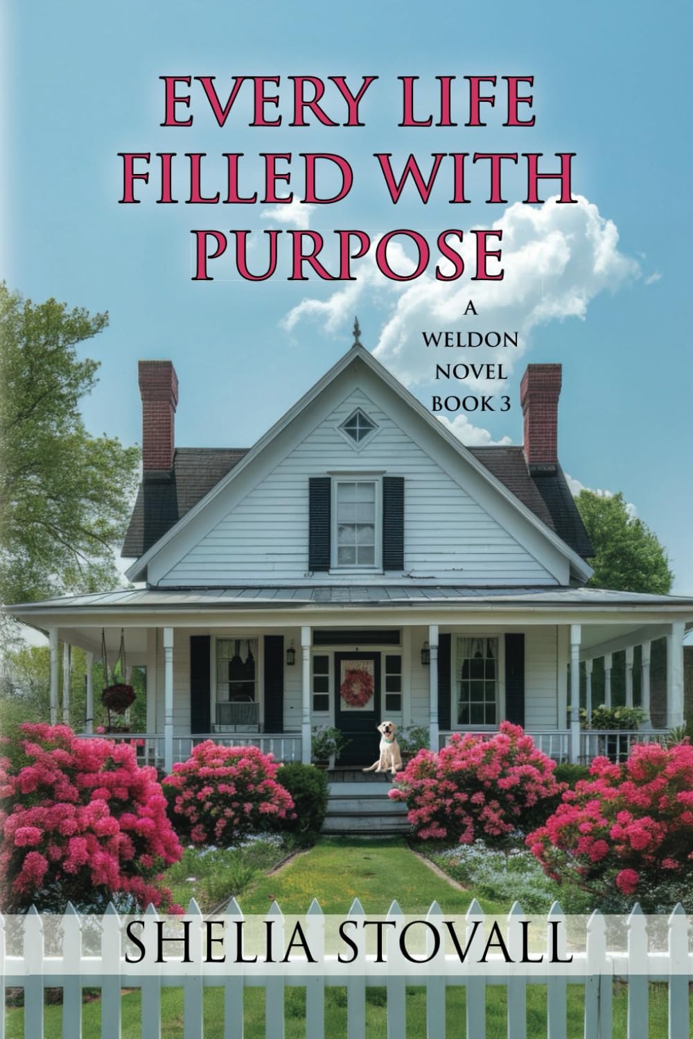 Every Life Filled with Purpose (The Weldon Novels): Stovall, Shelia ...