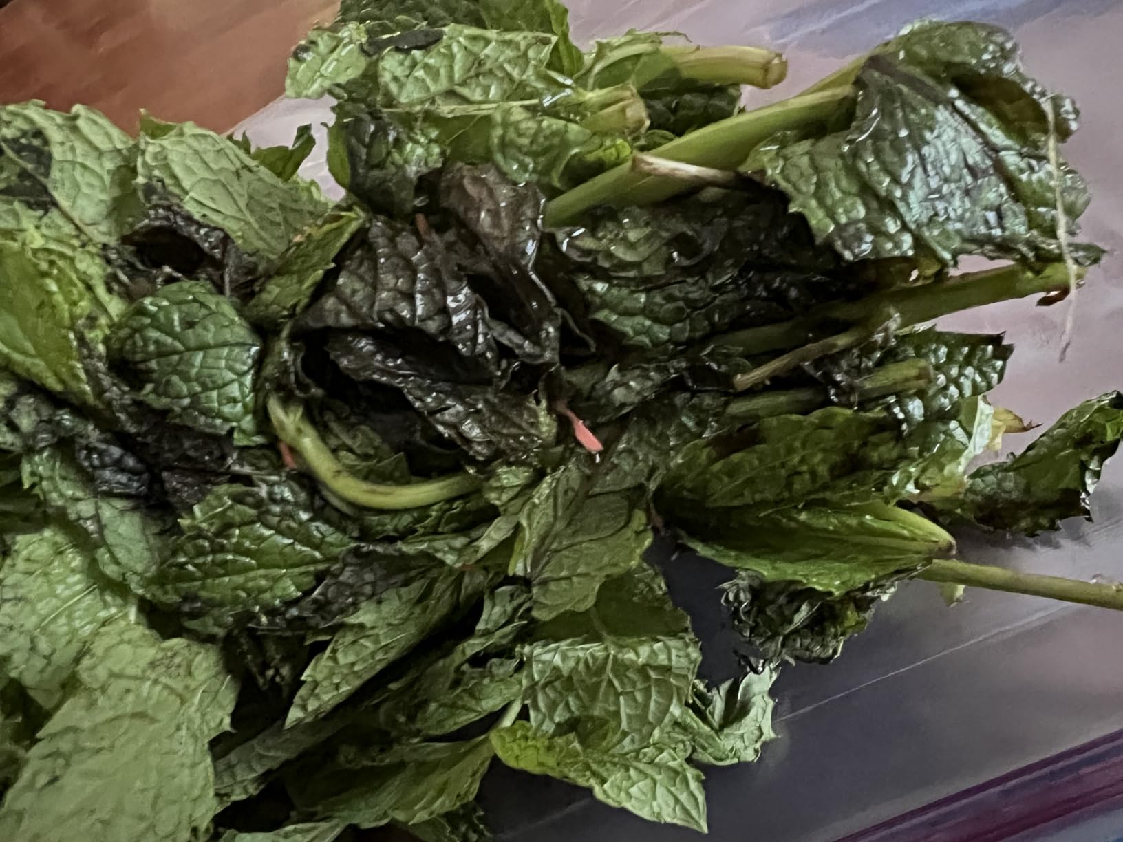 Amazon.com: Organic Mint, 1 Bunch : Grocery & Gourmet Food