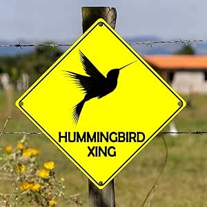 Amazon.com : Hummingbird Xing Wall Art Decor Metal Sign Caution ...