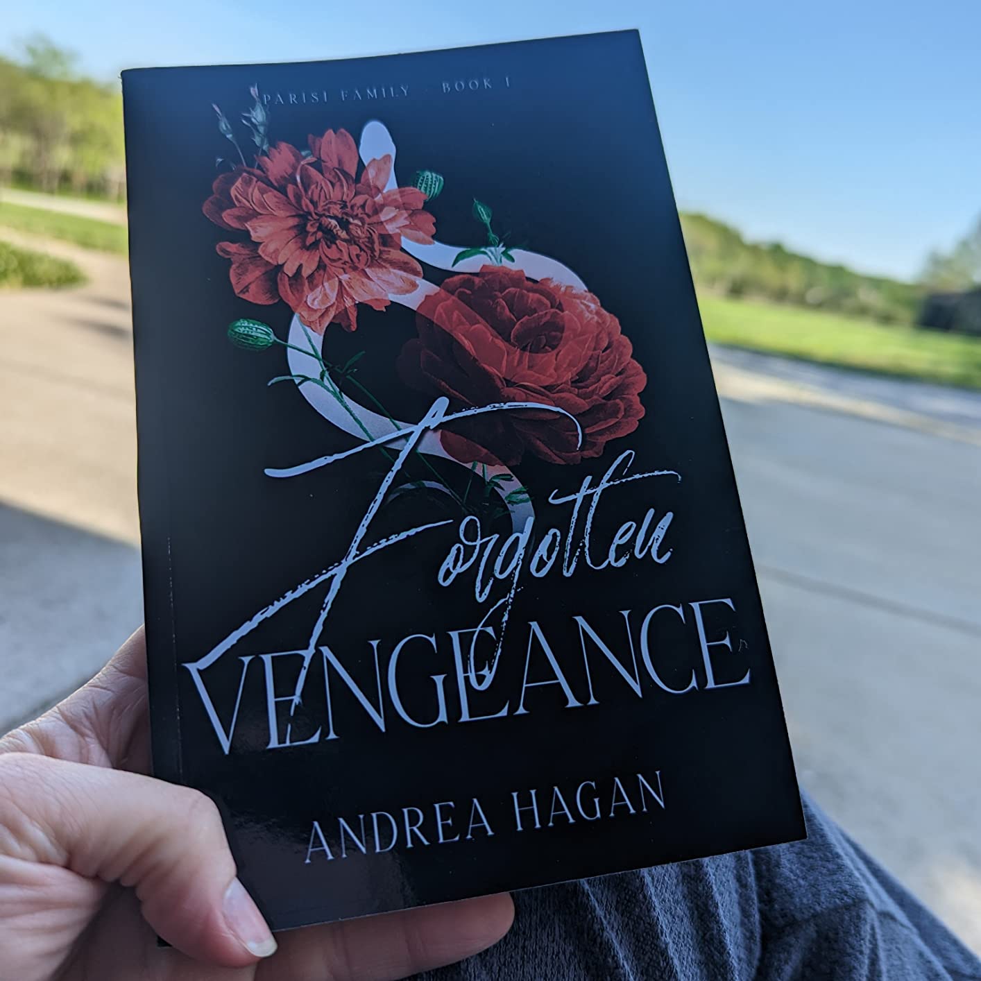 Amazon.com: Forgotten Vengeance: Parisi Family Book 1 (A Forced ...