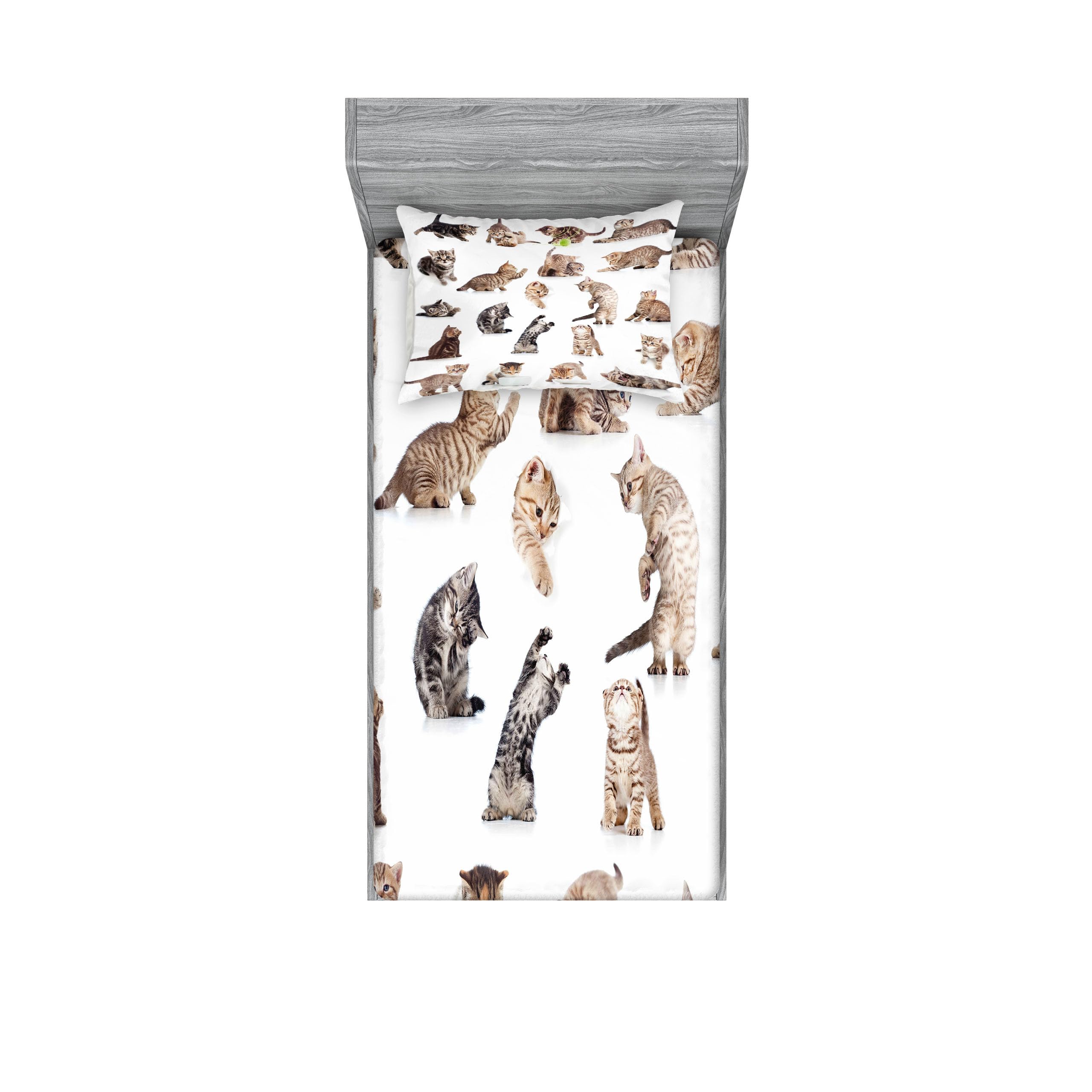 Amazon.com: Ambesonne Cat Lover Fitted Sheet & Pillow Sham Set ...