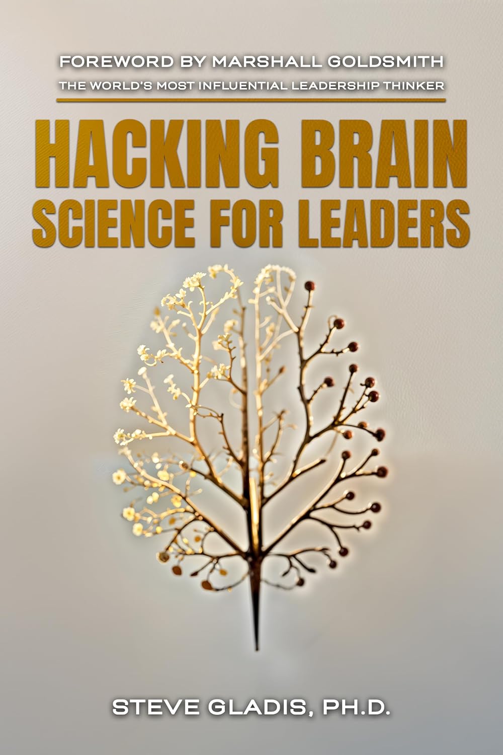 Amazon.com: Hacking Brain Science for Leaders: The Neuroscience of ...
