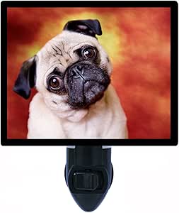 Night Light, Wookie, Pug, Dogs, Pet - Amazon.com