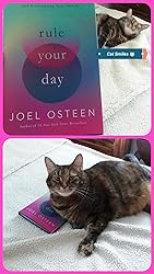 Rule Your Day: 6 Keys to Maximizing Your Success and Accelerating Your ...