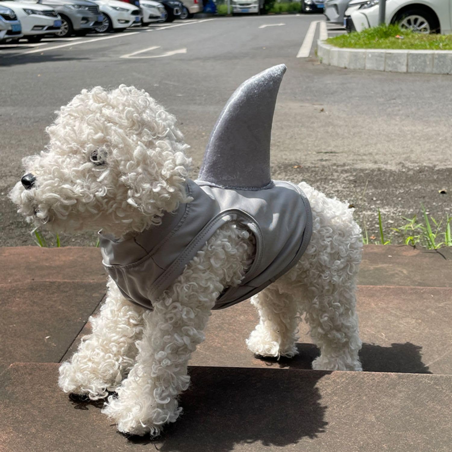 Costume Pinna Di Squalo Per Cani