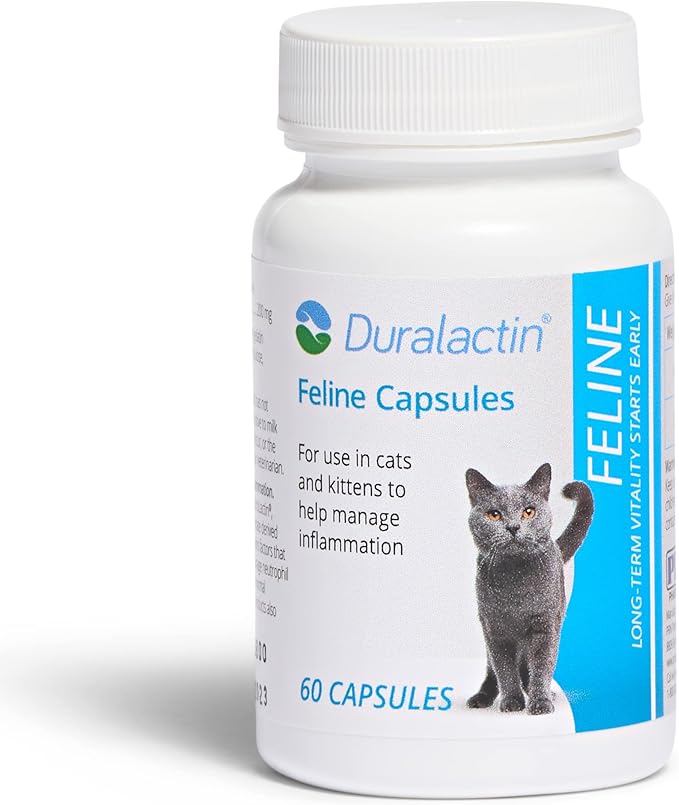 PRN Pharmacal Duralactin Feline Capsules - Cats & Kittens Joint Health ...