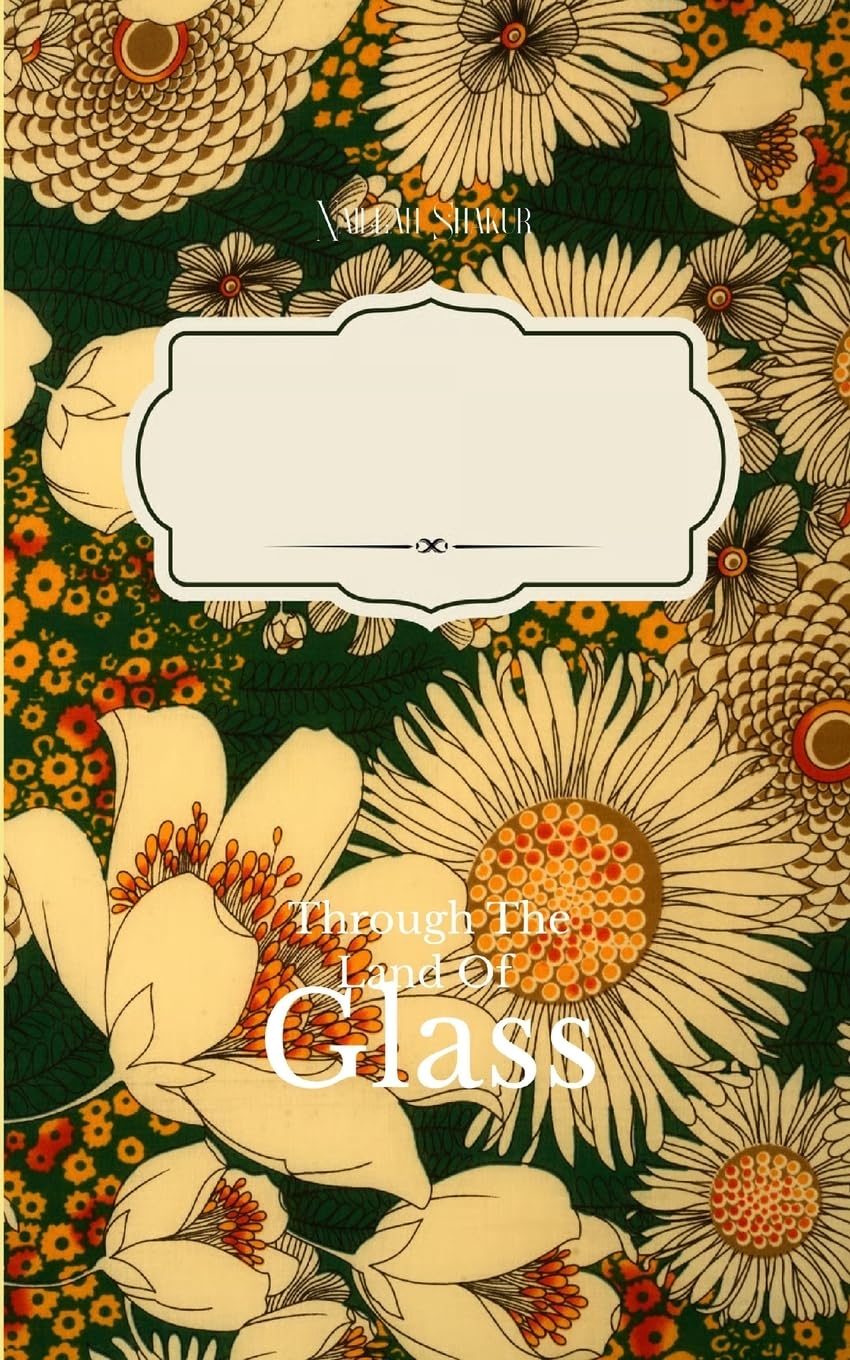 Buy Through the Land of Glass An ode to unfinished thoughts lost to wondering Book Online at Low ...