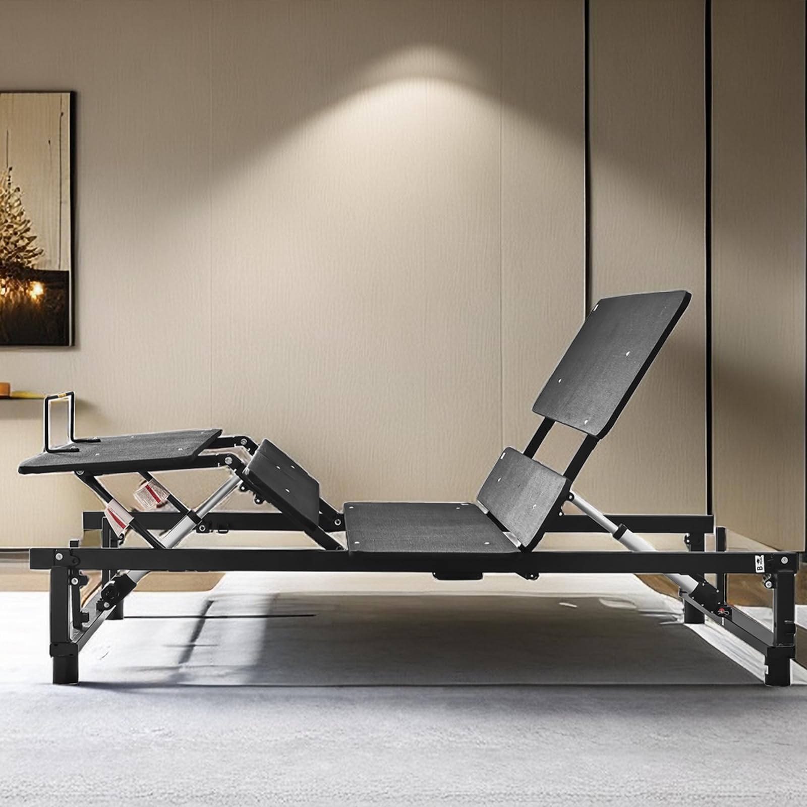 Amazon.com: Queen Size Metal Adjustable Bed Frame, Ergonomic Electric ...