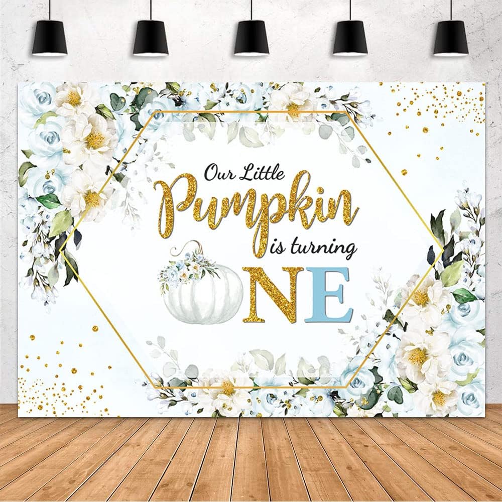 Amazon.com : MEHOFOND Fall Pumpkin 1st Birthday Party Decorations ...