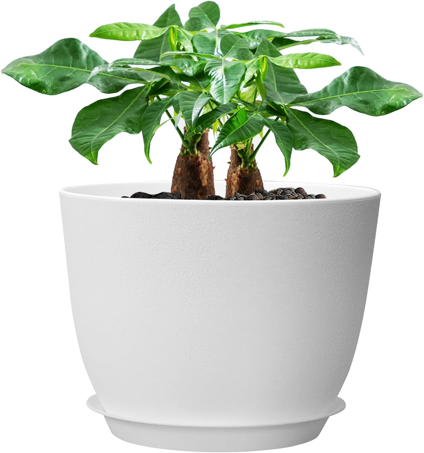 Amazon.com: Novelty Majestic Full Depth Cylinder Pot, Glossy White, 14 ...
