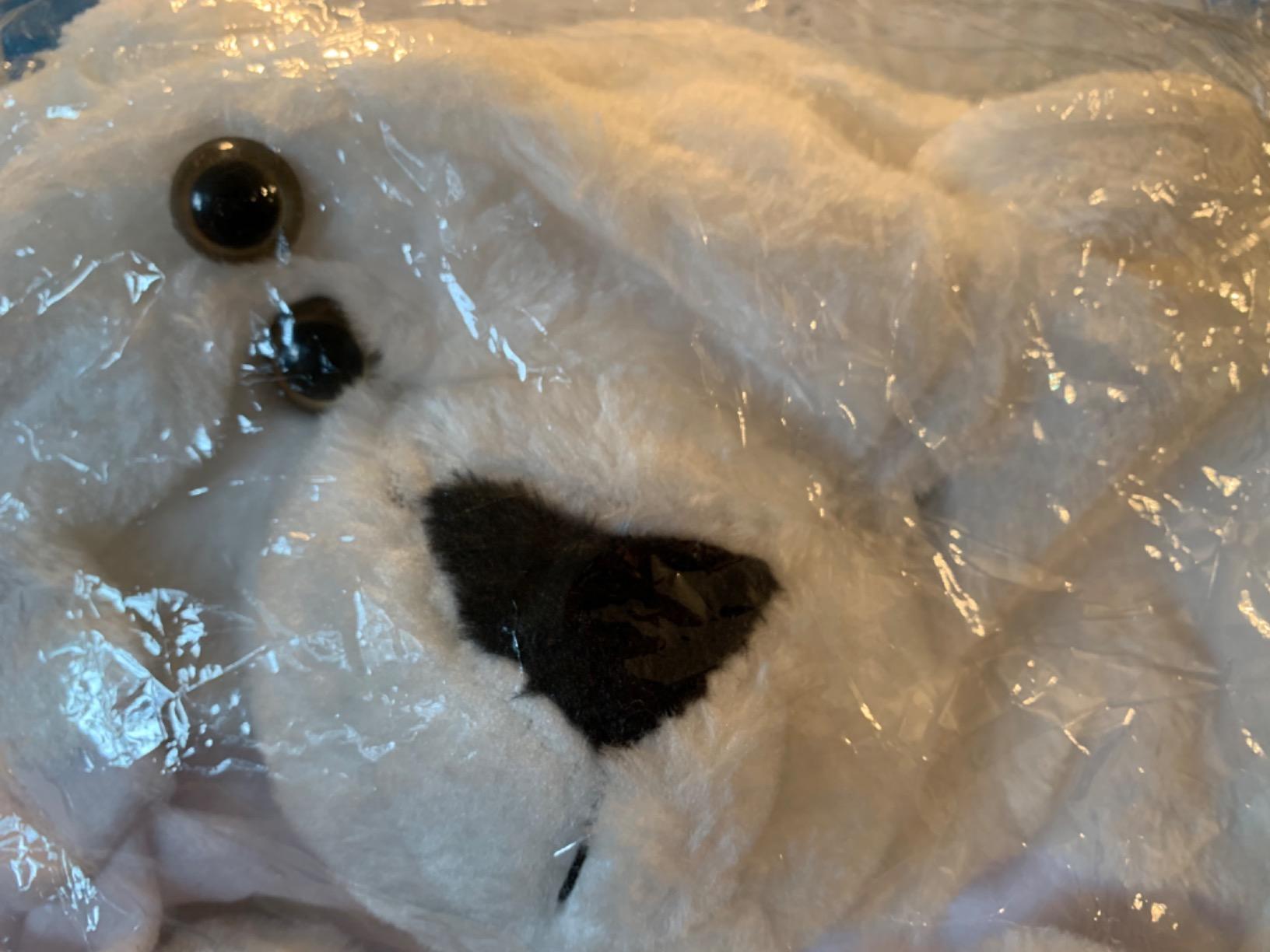 Amazon.com: POLAR BEAR Ski Hat Animal Hat Fleece lined, White, One Size