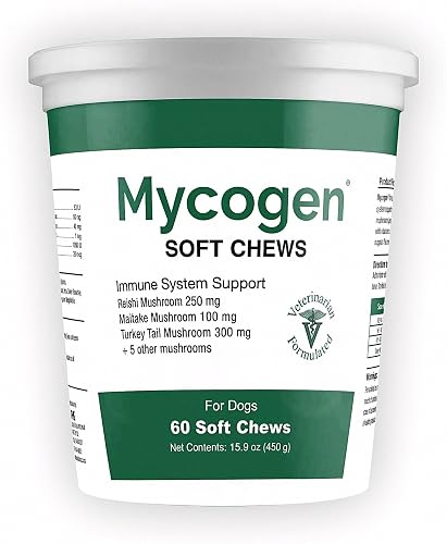 Mycoplasma in Dogs: Understanding, Diagnosis, and Prevention | My Pets ...